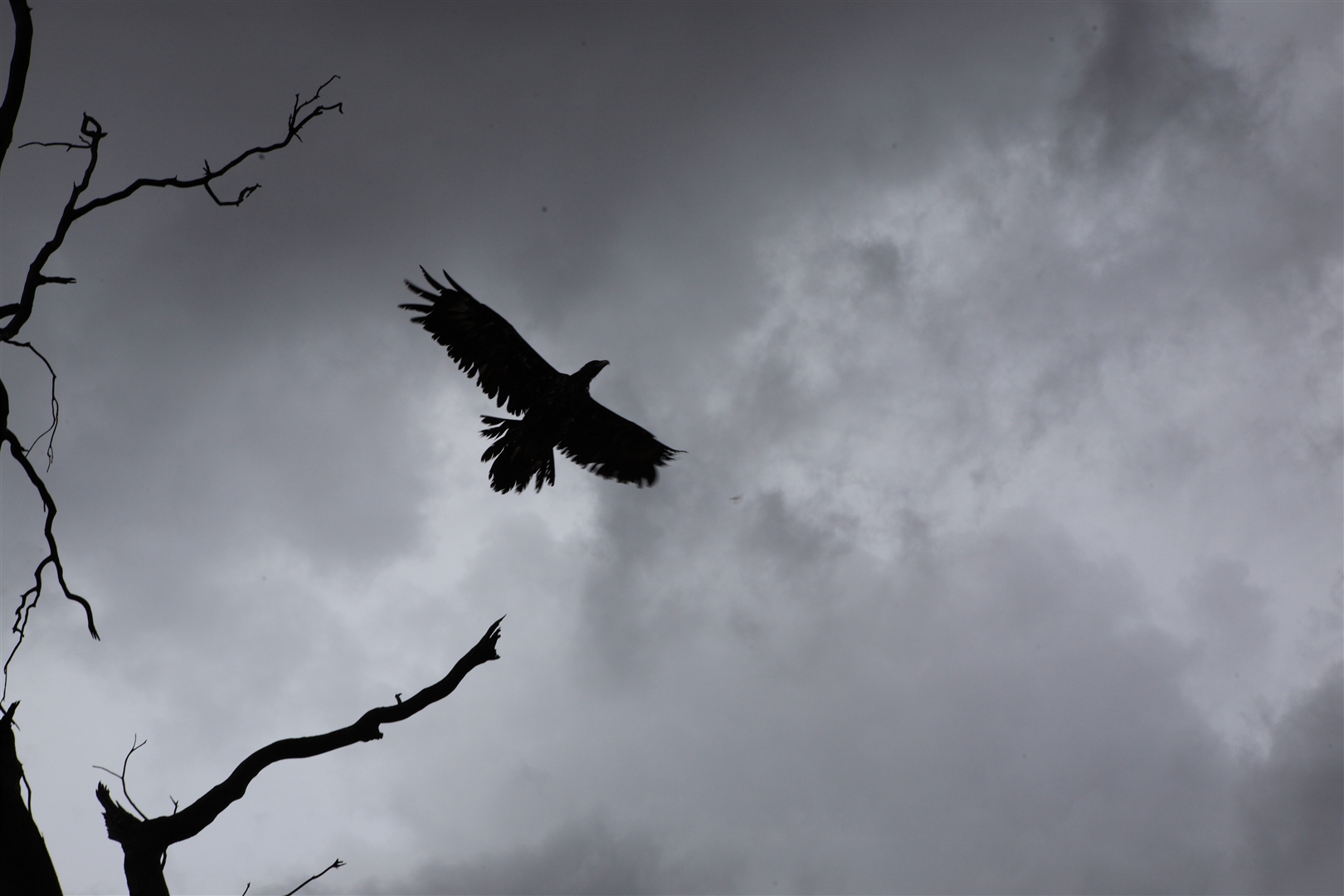 Home » Shire of Nungarin